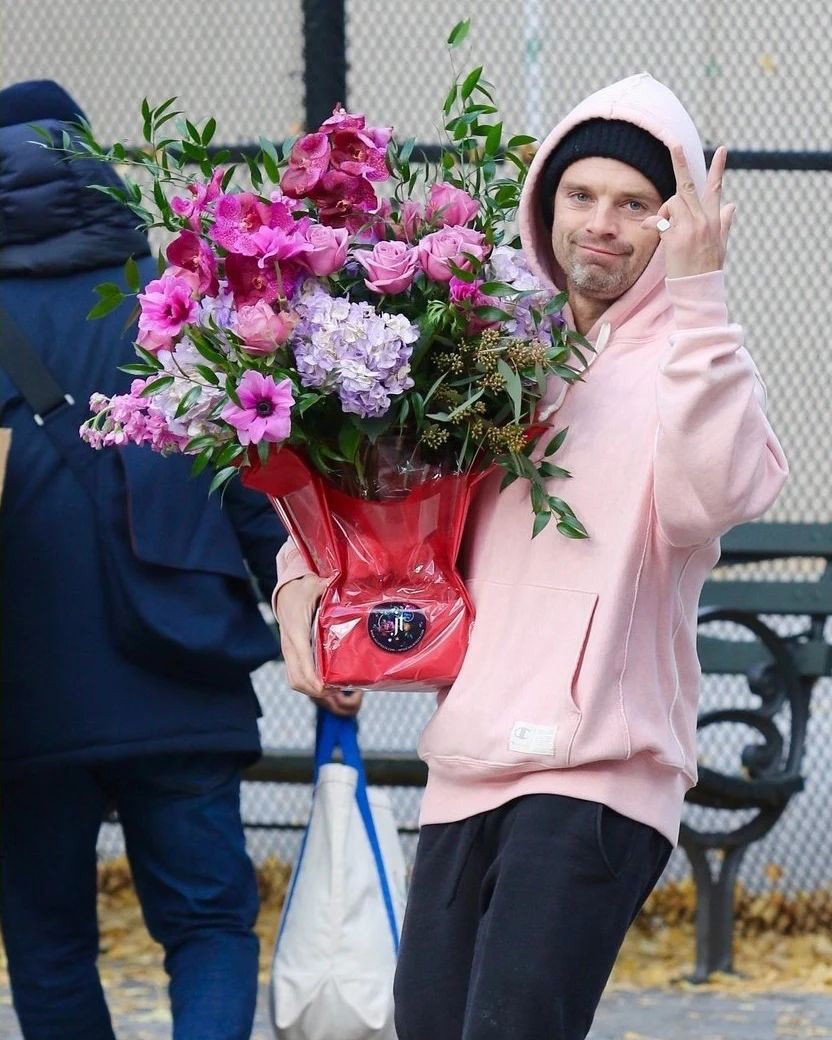 Che fiori sono quelli che Sebastian Stan stava portando il 12 dicembre ...